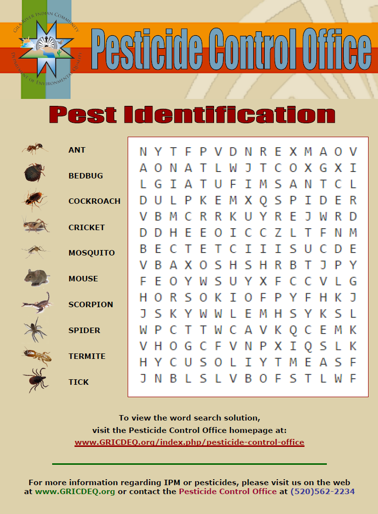 Word Search and Solution Page-Pest Identification Pesticide